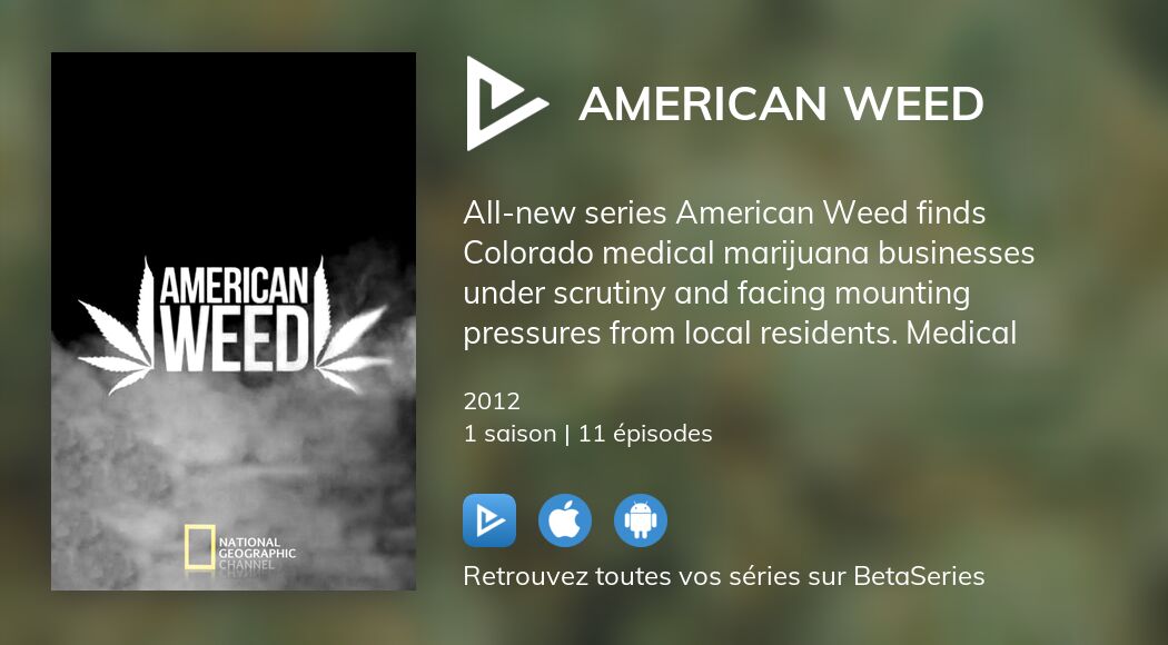 Regarder American Weed streaming