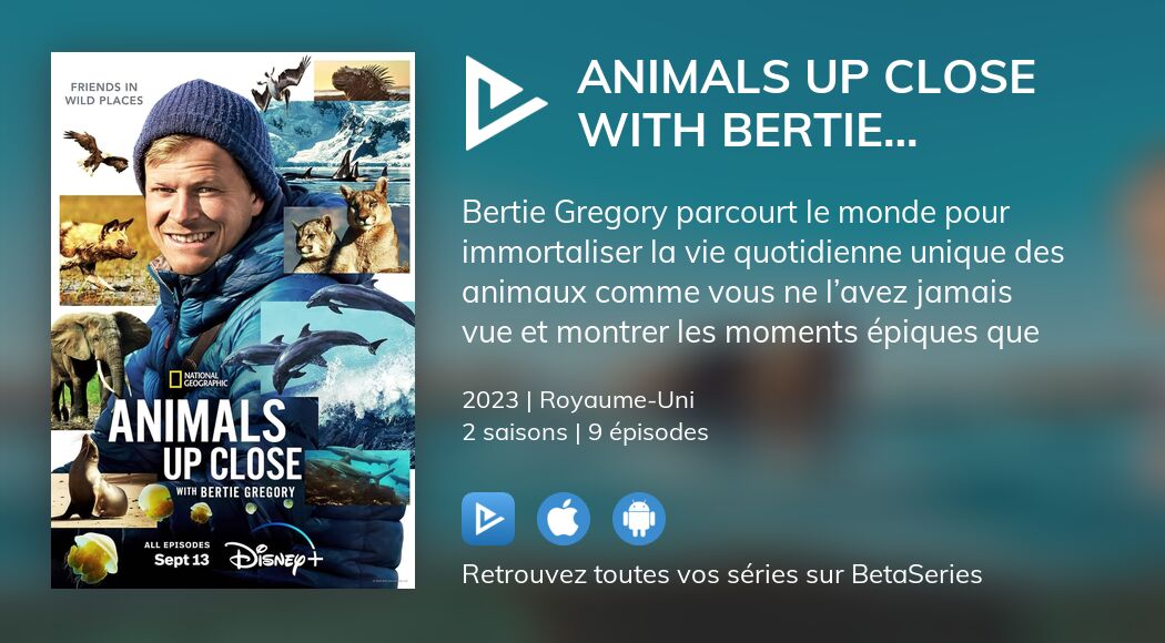 Regarder Au plus près des animaux avec Bertie Gregory streaming