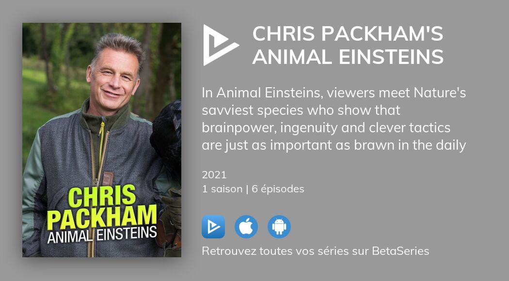 Regarder Chris Packham's Animal Einsteins streaming