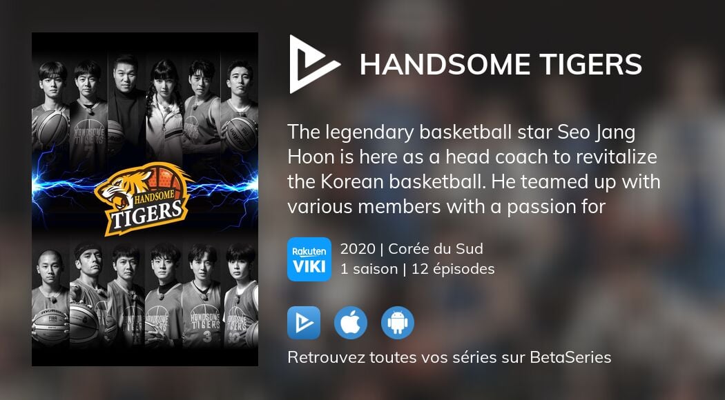 Regarder Handsome Tigers streaming
