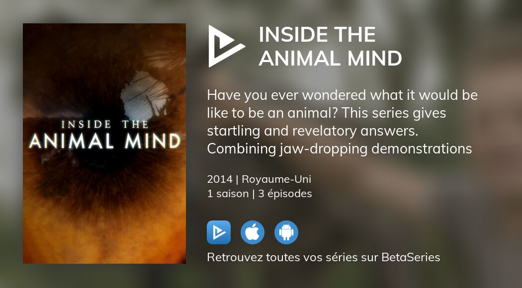 Regarder Inside the Animal Mind streaming