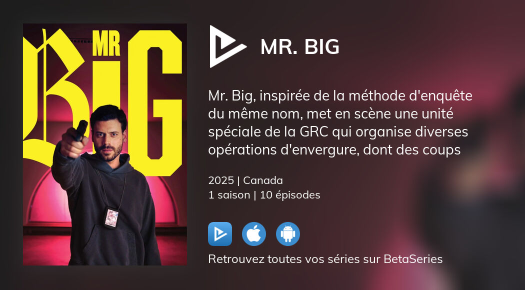 Regarder Mr. Big streaming