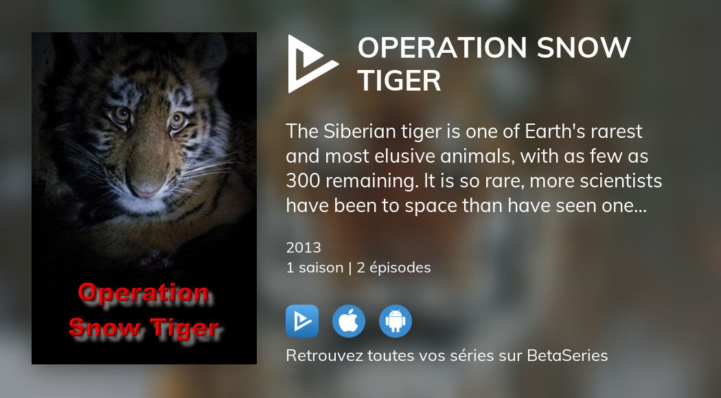 Regarder Operation Snow Tiger streaming