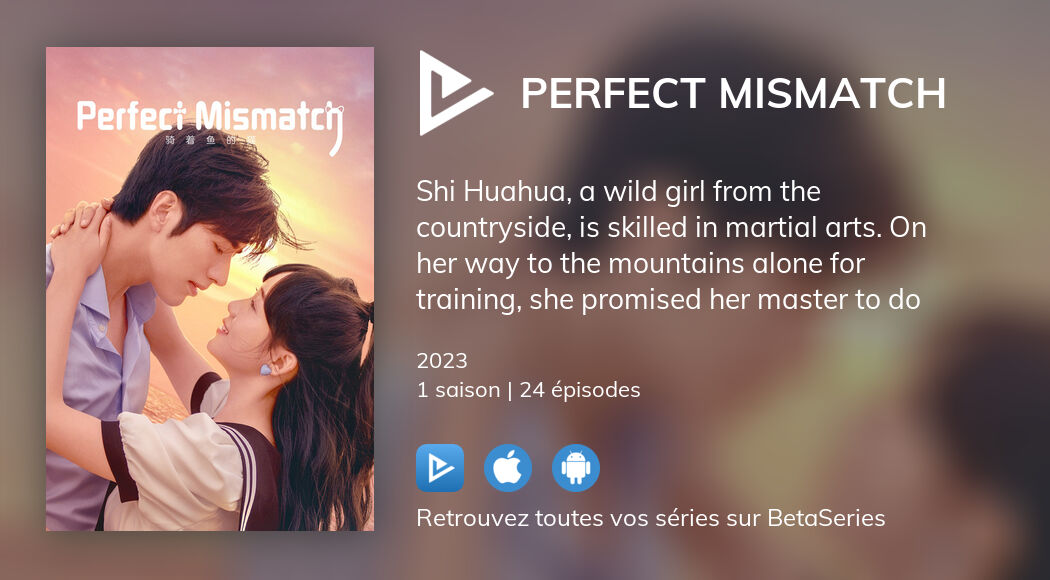 Regarder Perfect Mismatch streaming