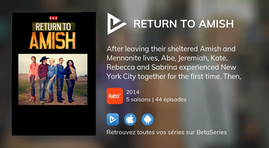 Regarder Return to Amish streaming
