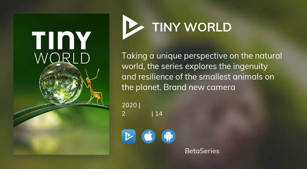 Де дивитися серіал Tiny World онлайн? | BetaSeries.com